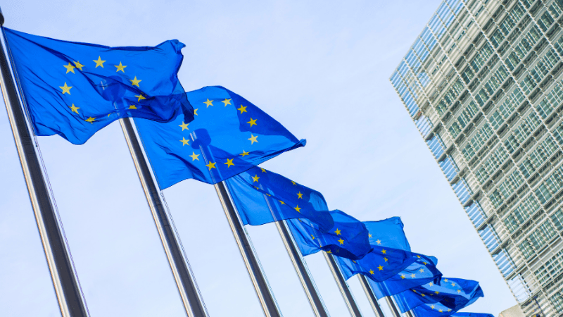 The New Update in the Reporting Manual on European Single Electronic ...